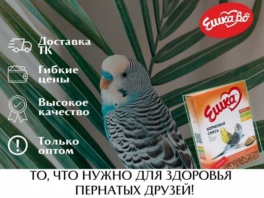 Купить корм для попугаев