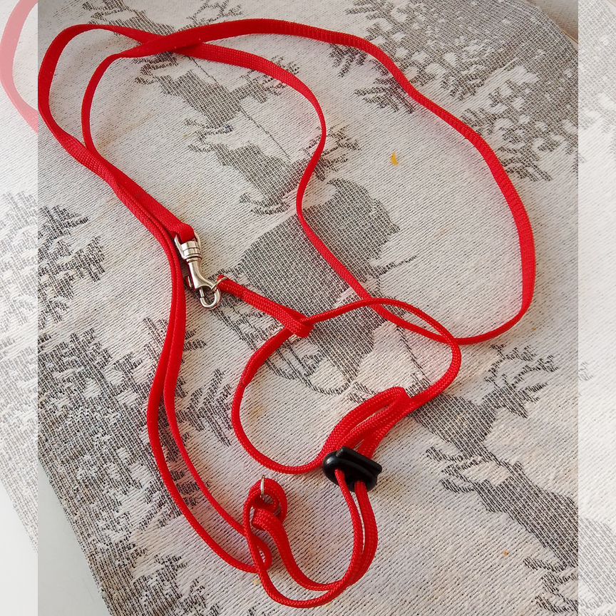 Шлейка для грызунов