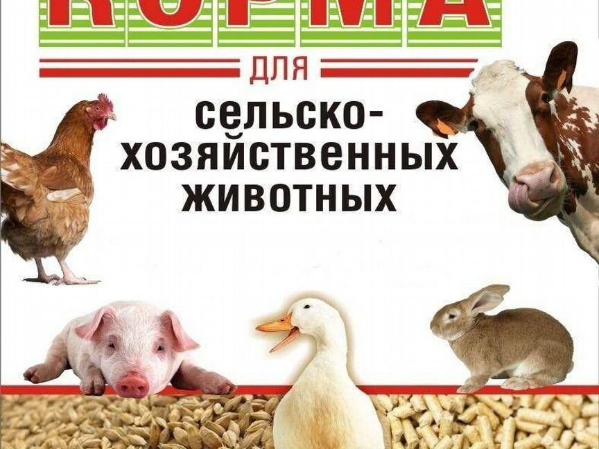 Комбикорм и зерносмесь