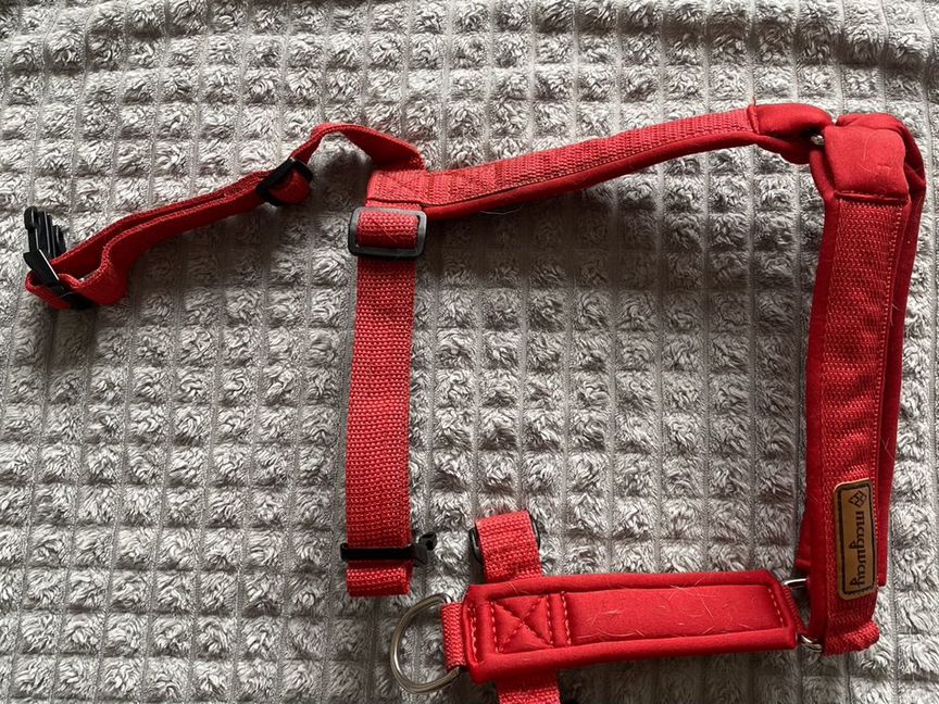 Шлейка собачья Mayway