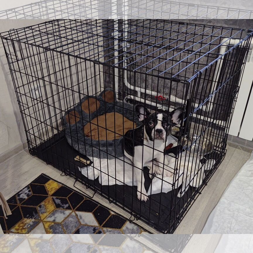 Клетка для собак 10076