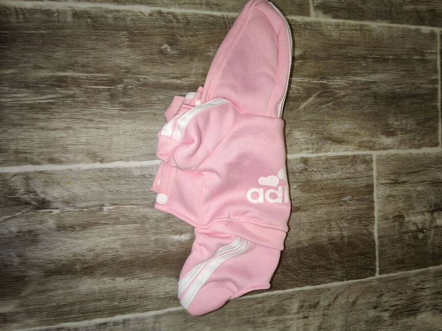 Собачья кофта