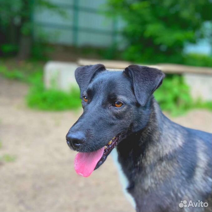 Каждый день может быть последним