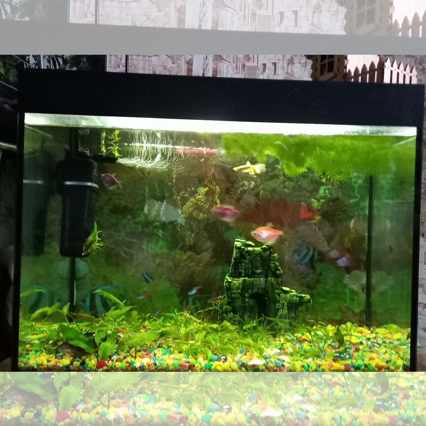Продам аквариум с рыбками