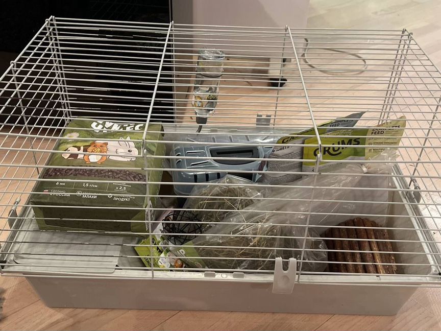 Клетка для морской свинки