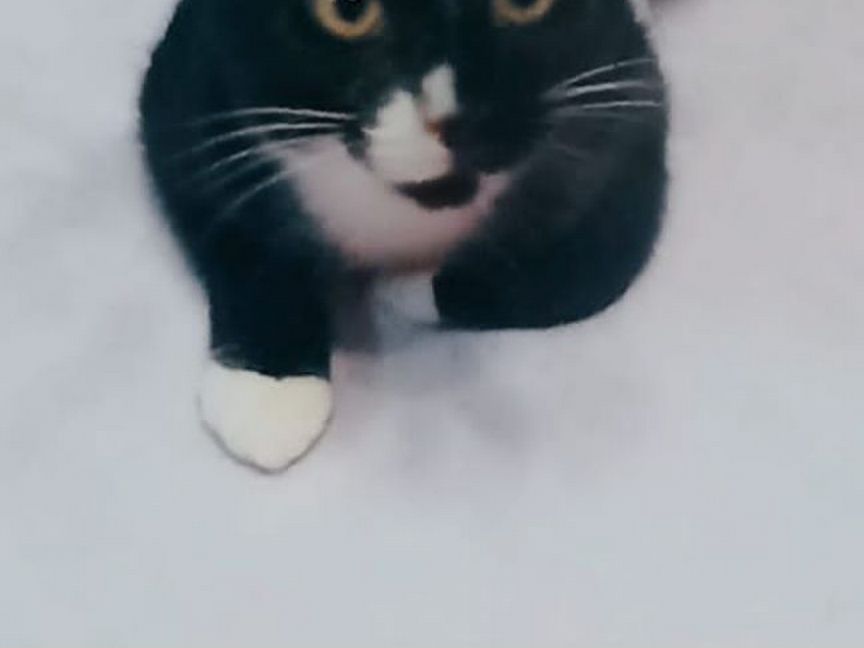 Мальчик красавчик) 4,5 мес