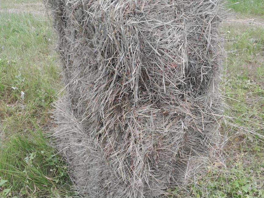 Сено в тюках