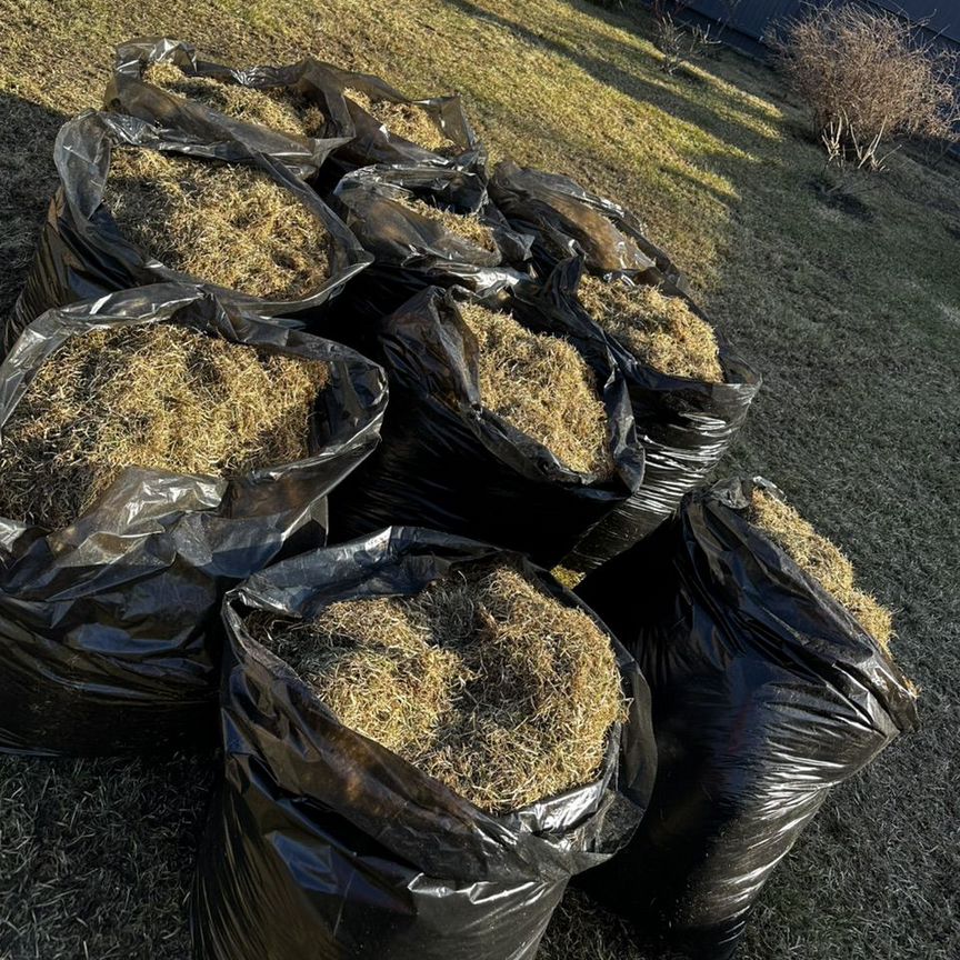 Продам сено в мешках по 200л (трава газонная)
