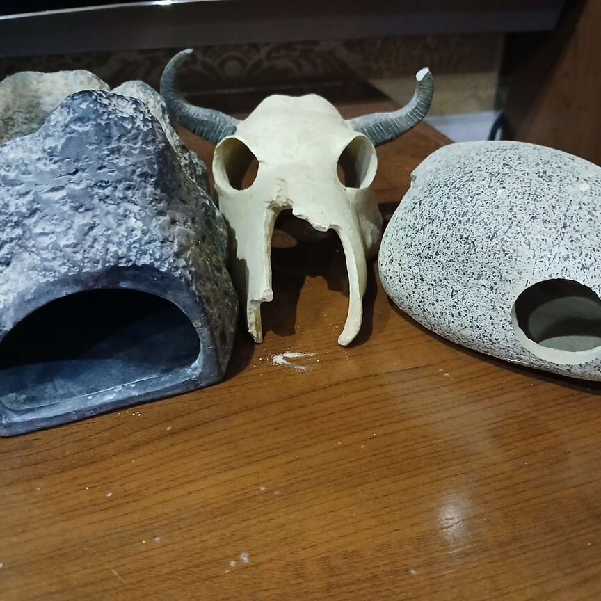 Укрытия для терариума