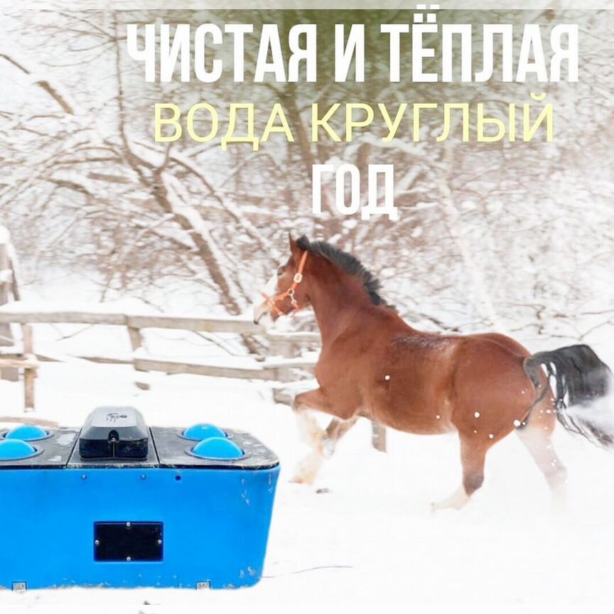 Поилка для животных