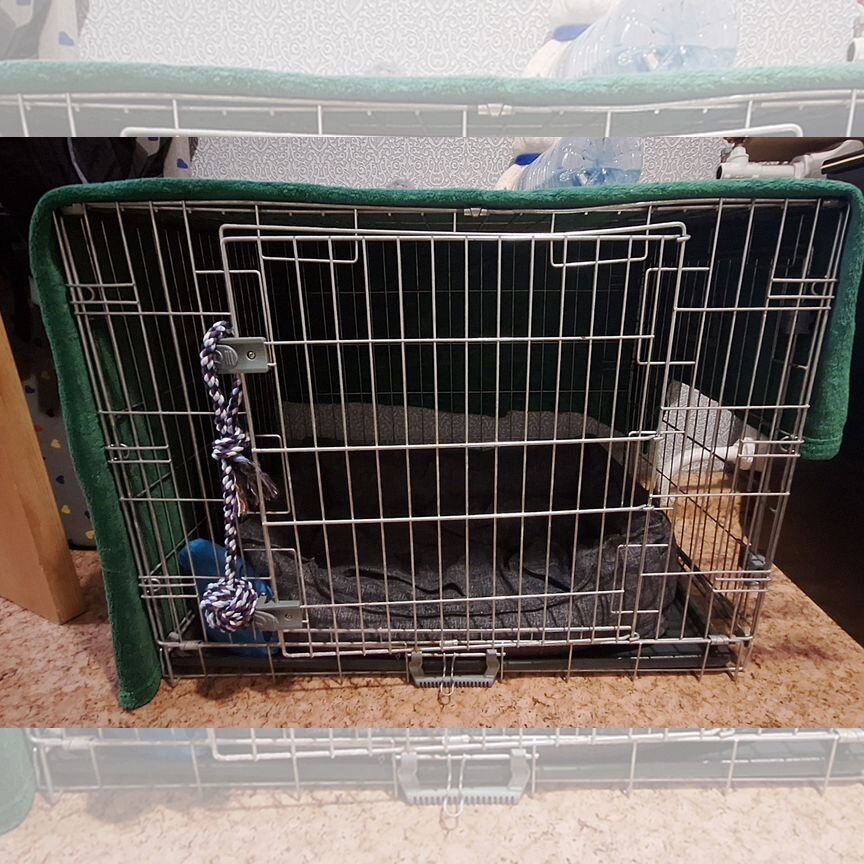 Клетка для собаки