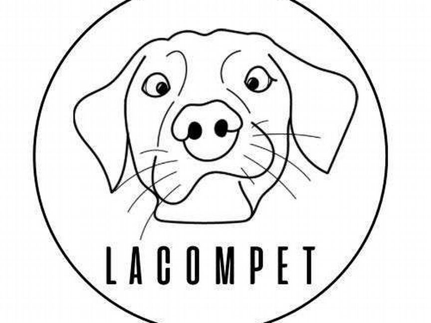 Уши кролика оптом