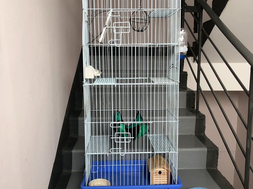 Большая клетка для крыс шиншилл дегу грызунов