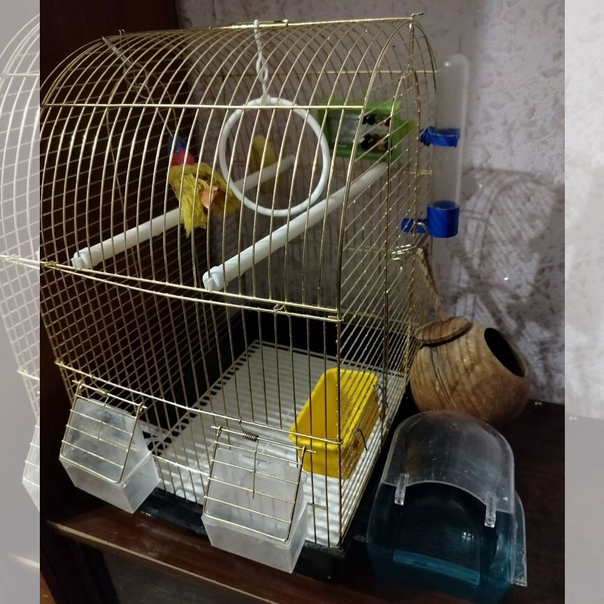 Клетка для птичек