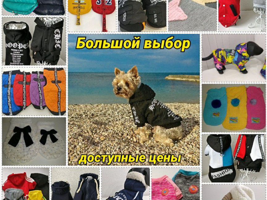 Одежда для животных