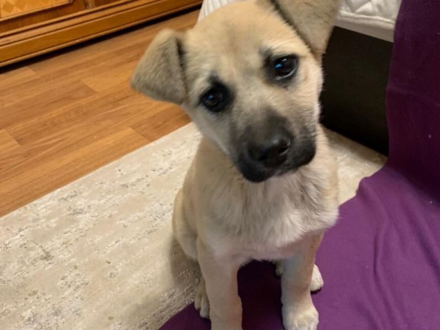 Ищу свою маму