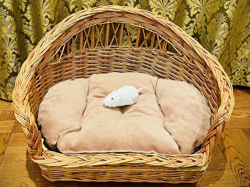 Лежанка для кошек плетеная ротанг