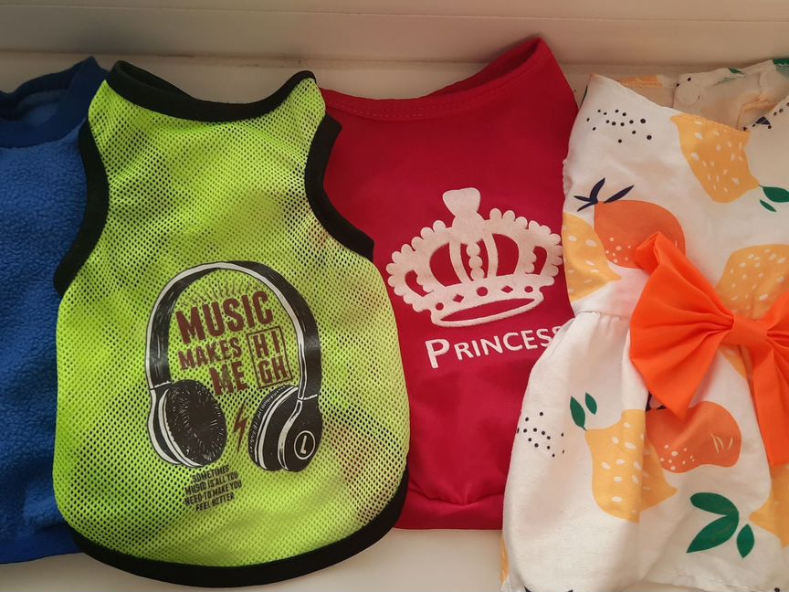 Вещи для маленькой собачки размер.S