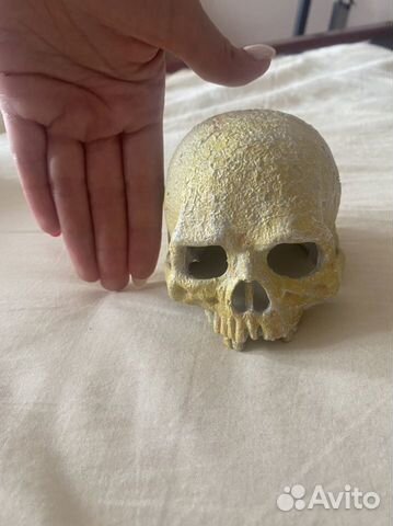 Домик или декор для терариума