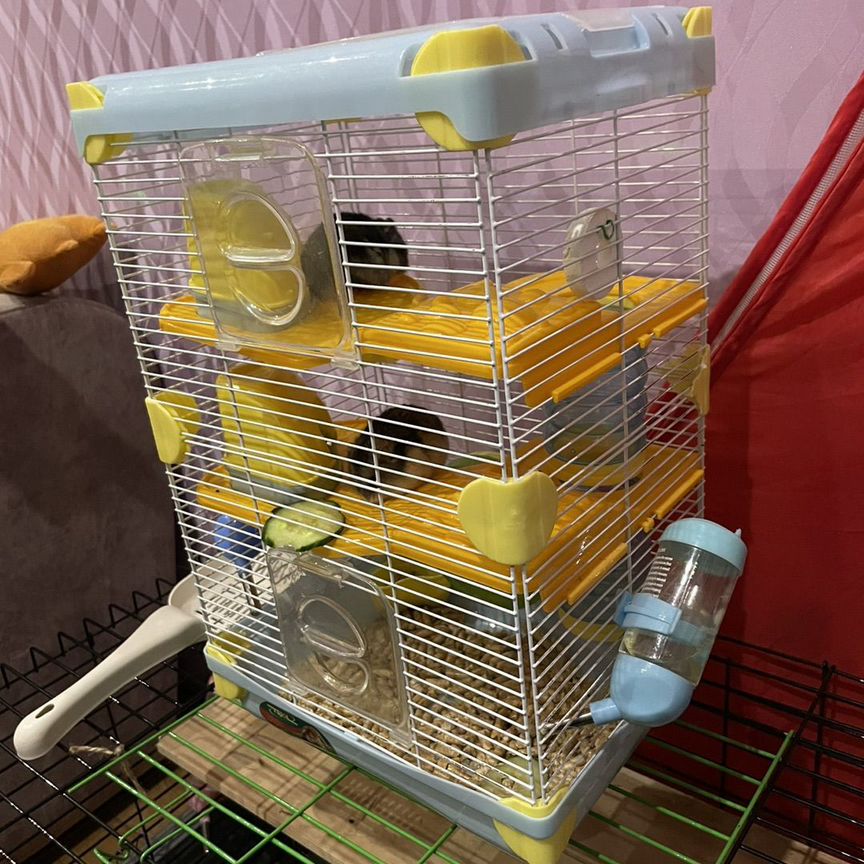 Клетка для хомяка  2 хомяка