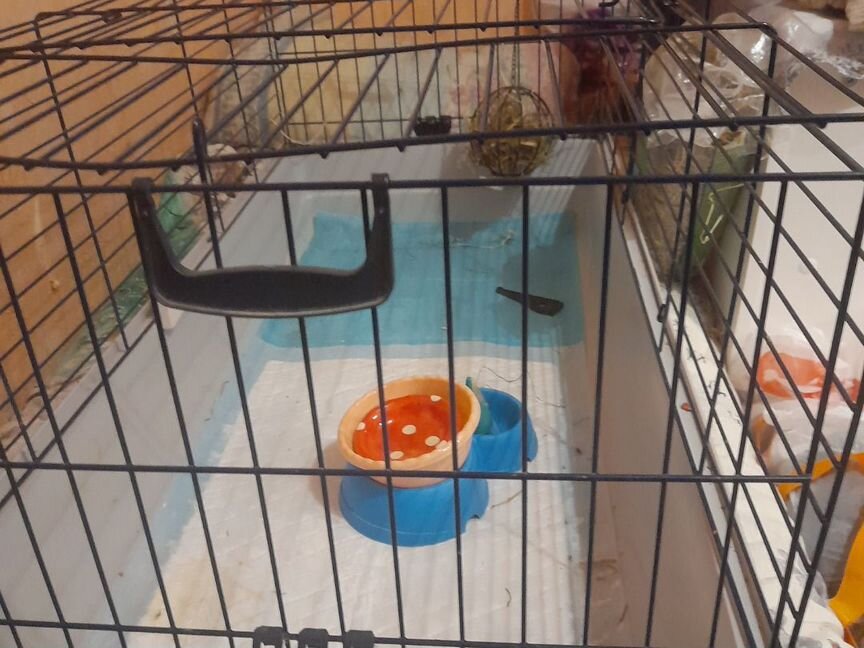 Вольер для грызунов