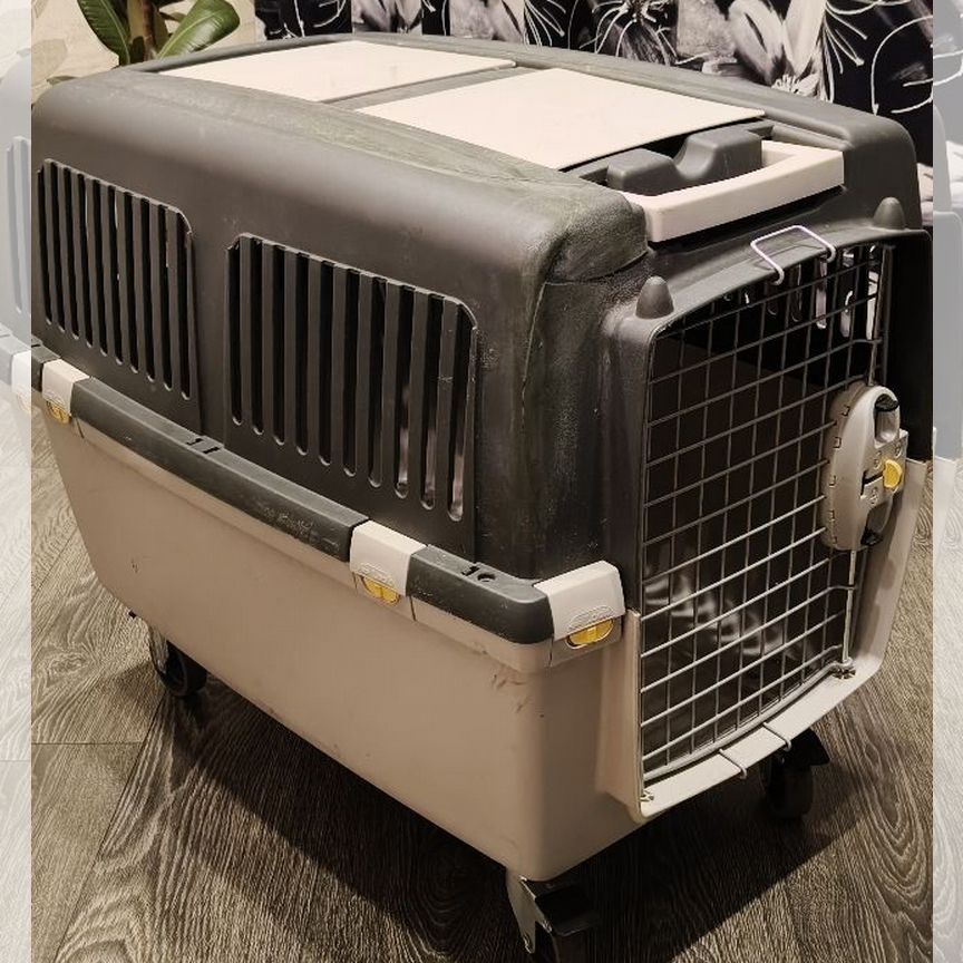 Stеfаnрlаst Gulliver 4 перевозка для собак