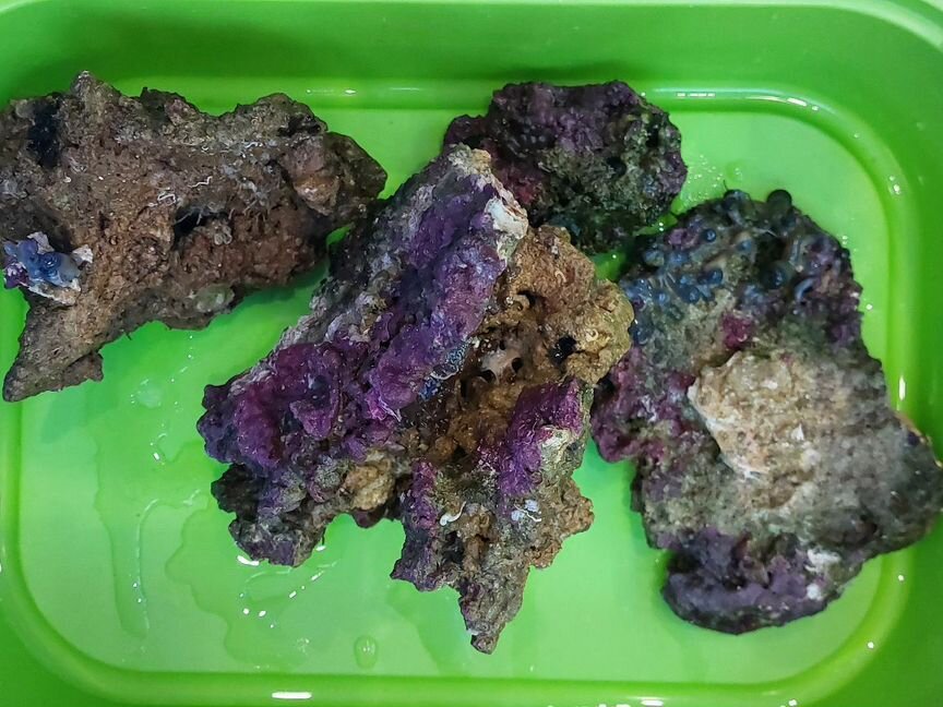 ЖК, живые камни для морского аквариума