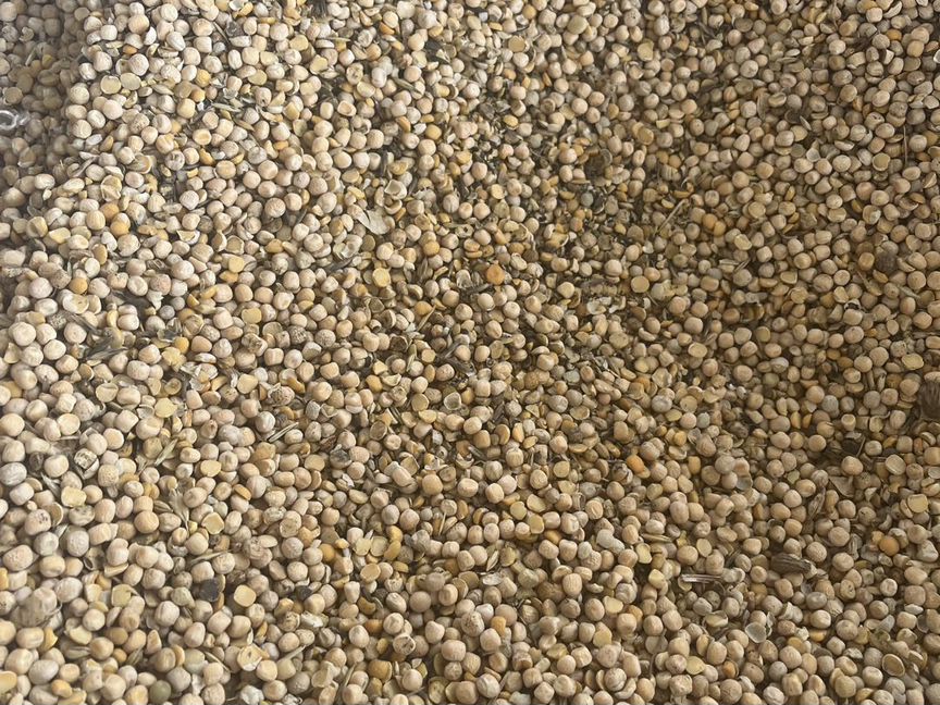 Горох(колотый) на корм