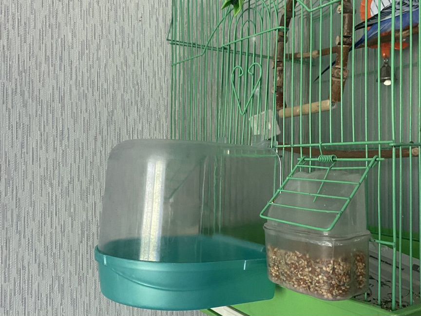 Купальня ванна для попугая