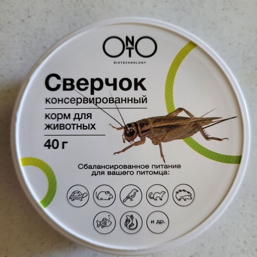 Сверчок