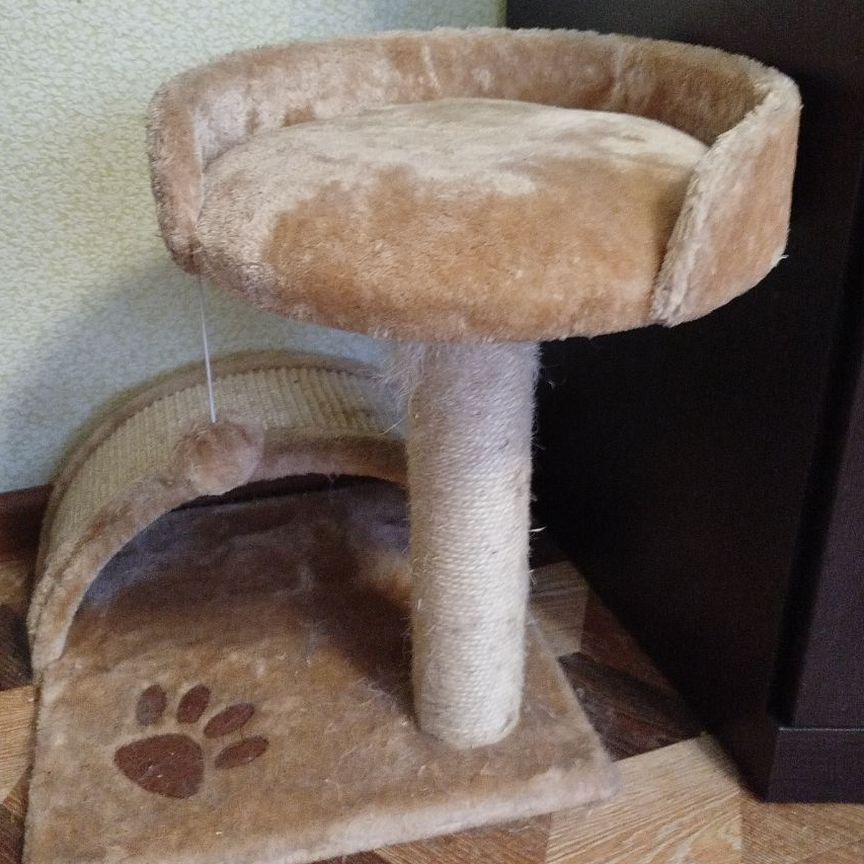 Когтеточка для котят
