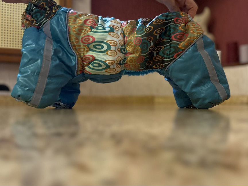 Дождевик для маленьких собак