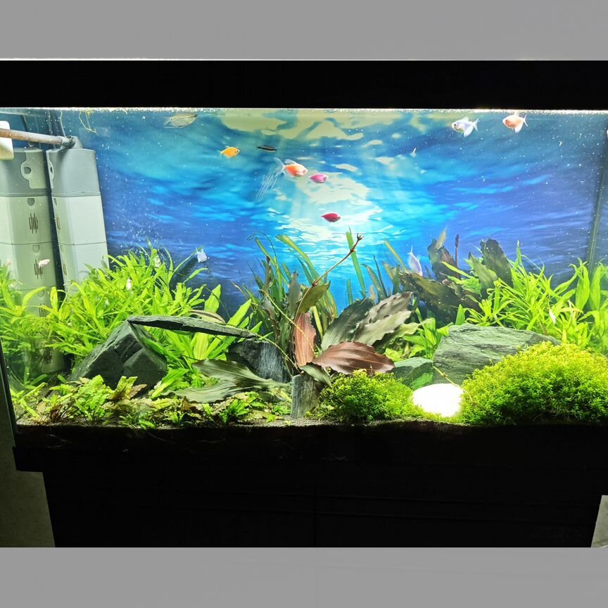 Мега прополка аквариума