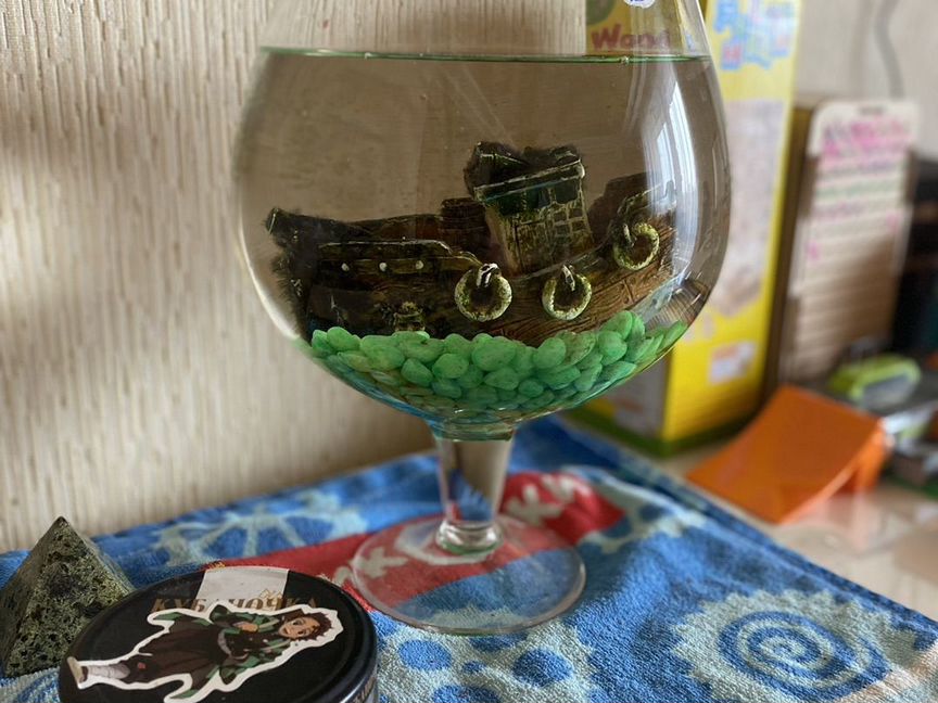 Рыбка сомик с аквариумом