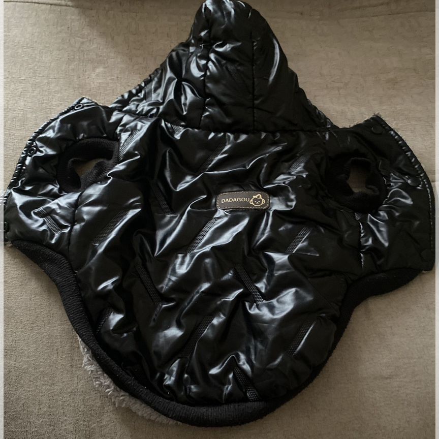 Зимняя одежда для маленьких собак