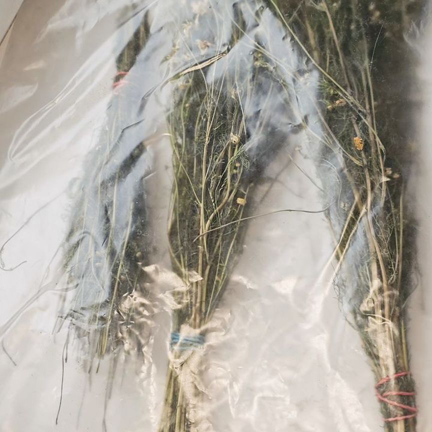 Букеты ромашки для кроликов и грызунов