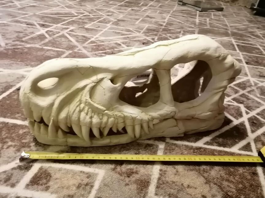 Грот для аквариума (террариума): Череп динозавра