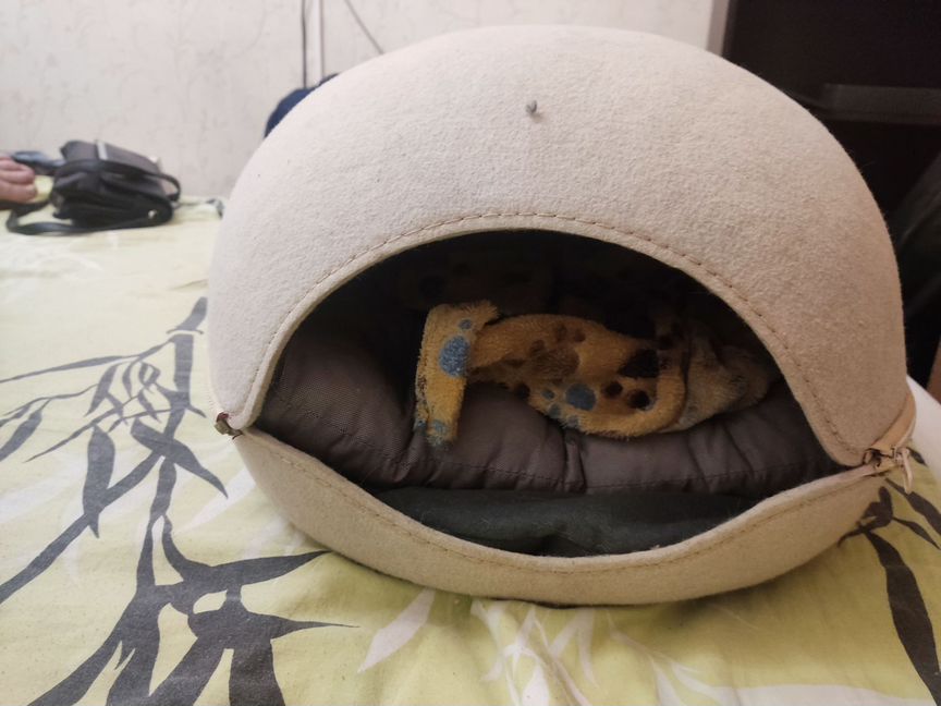 Кошачий домик