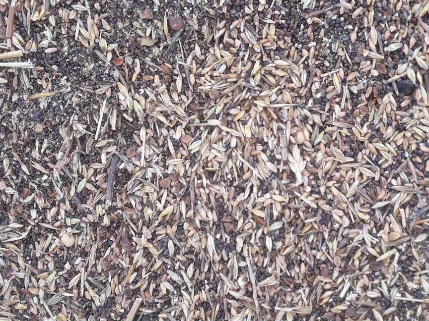 Зерноотходы