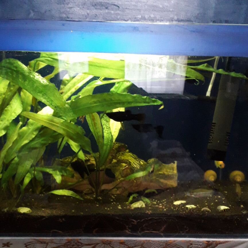 Украшение для аквариума