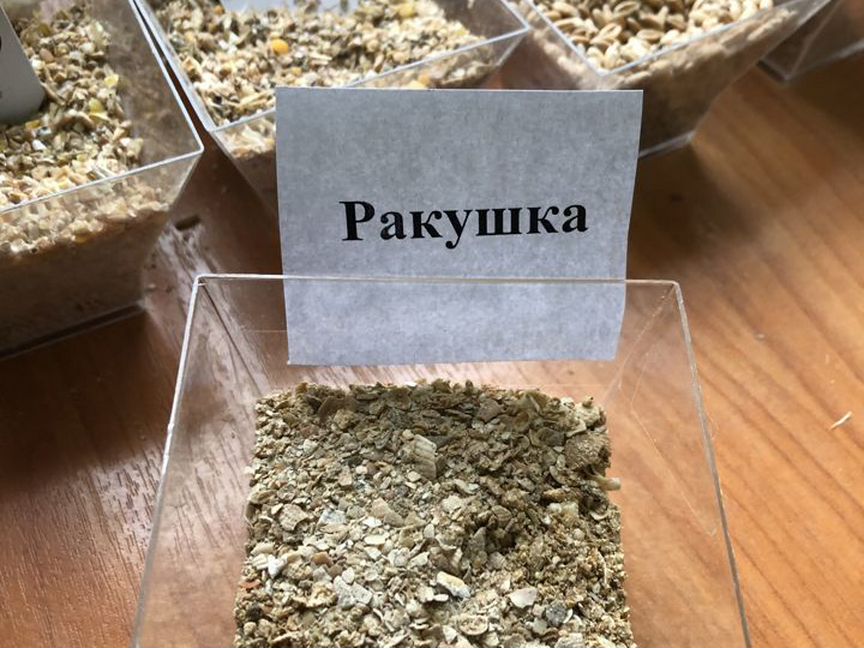 Ракушка кормовая
