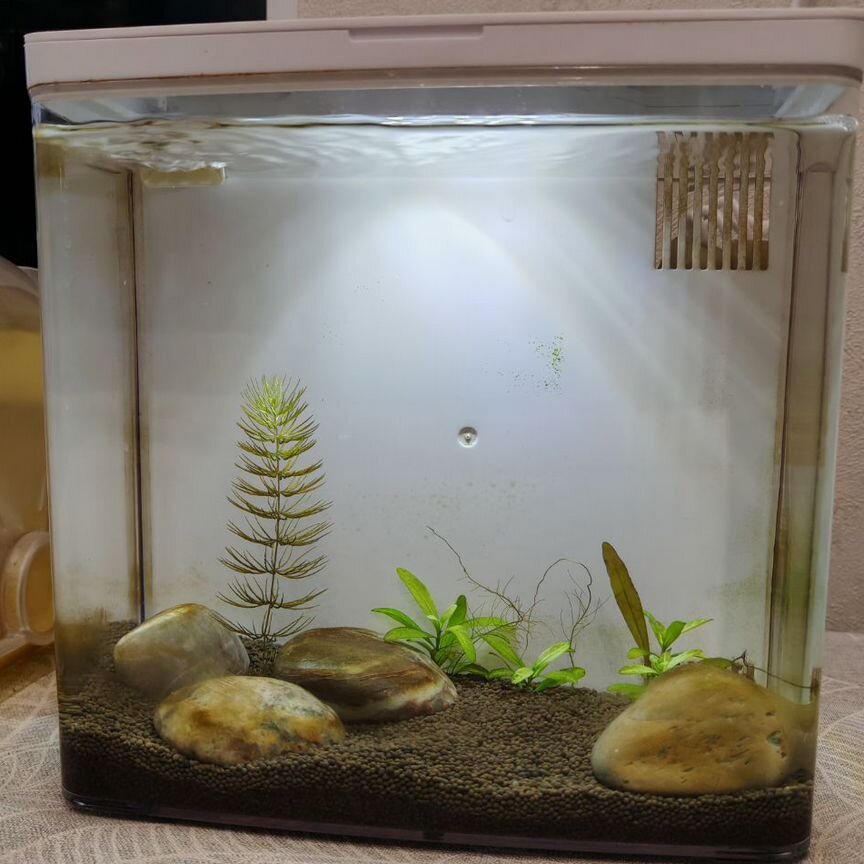 Аквариум 4.5 литра 20х20х15 см