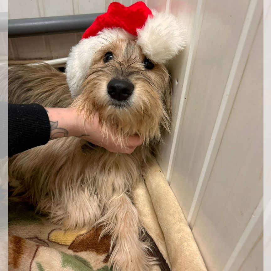 Невероятной красоты девочка