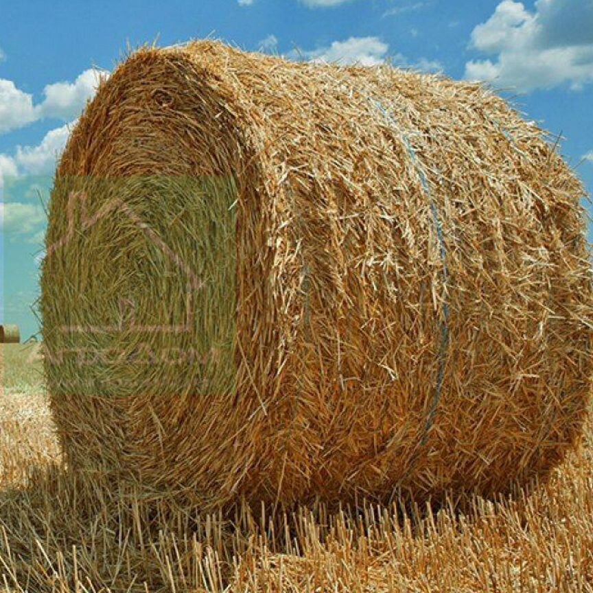 Сено, солома, мешки и рулоны