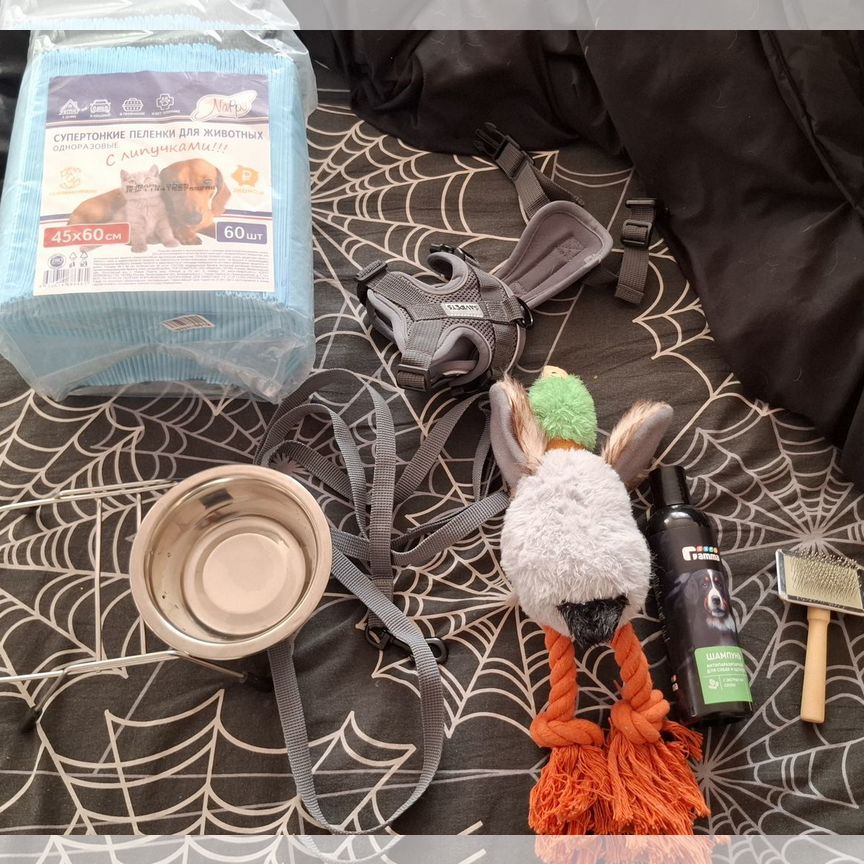 Принадлежности для собаки