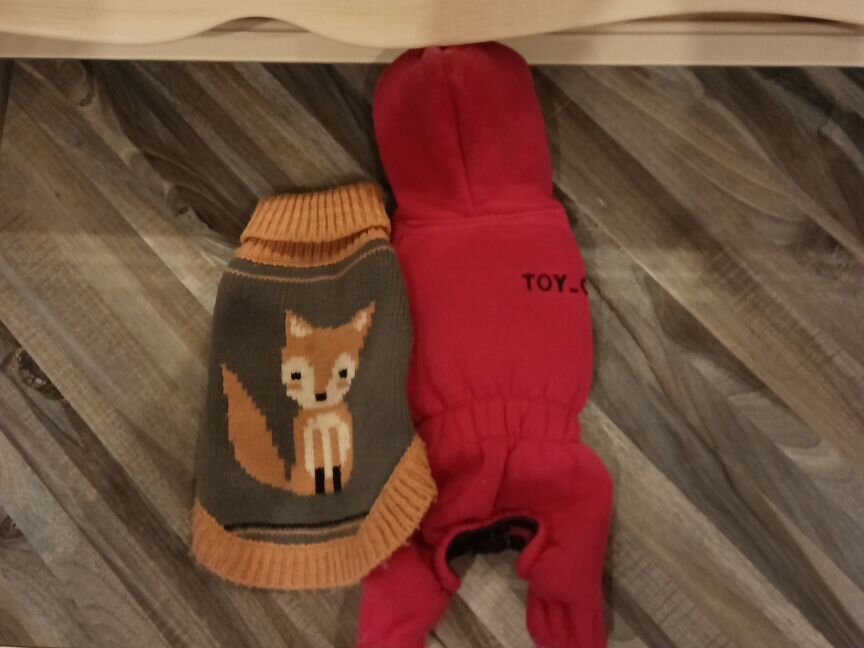 Одежда для маленьких собак s