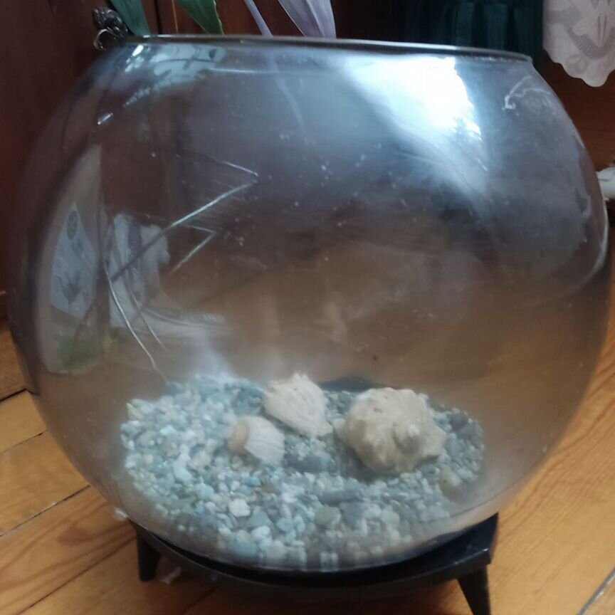 Аквариум круглый