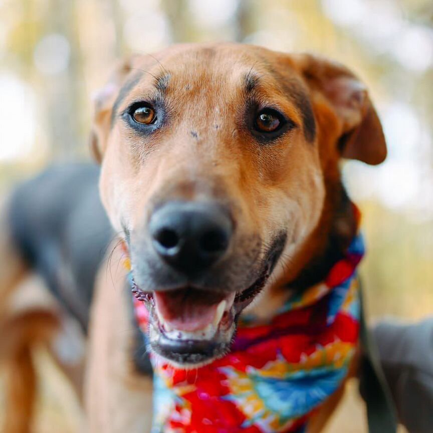 Дастин ждёт свою маму