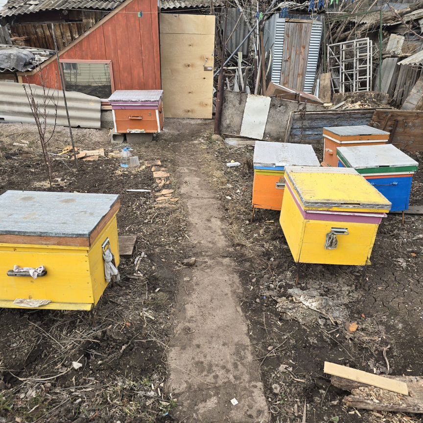 Продажа ульев и оборудования
