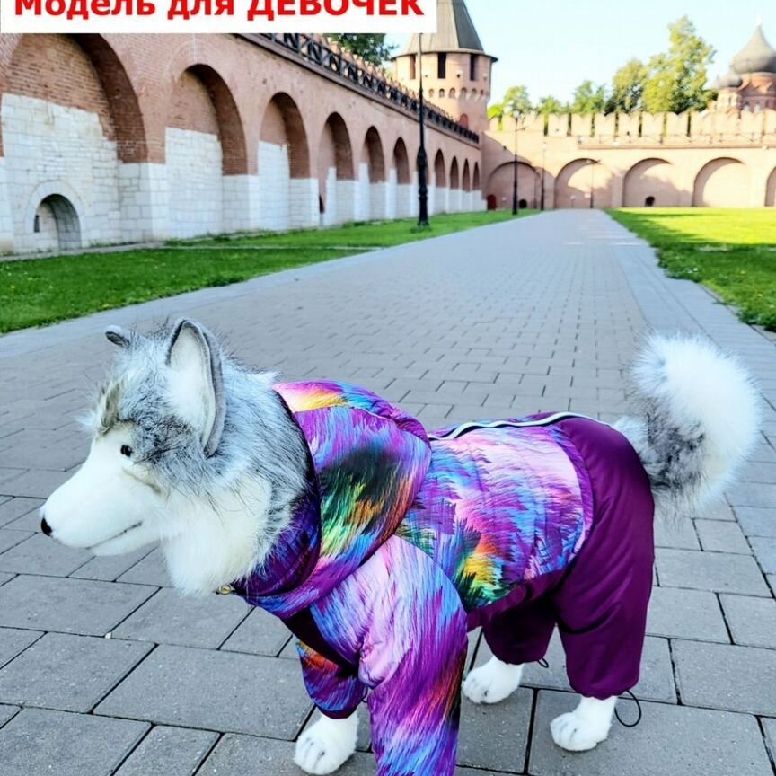 Зимний комбинезон для маленькой собаки